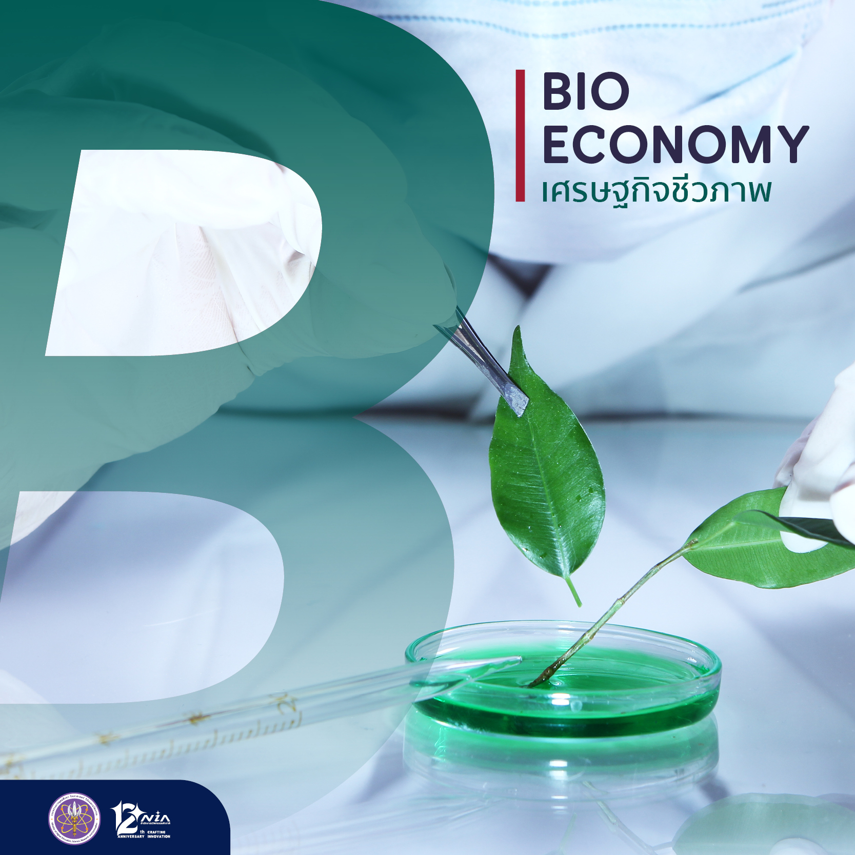 ถอดรหัส “BCG Model” แนวคิดขับเคลื่อนไทย สู่ความยั่งยืนทางเศรษฐกิจ